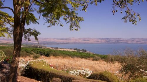 Galileia - Notícias de Israel - Cafetorah